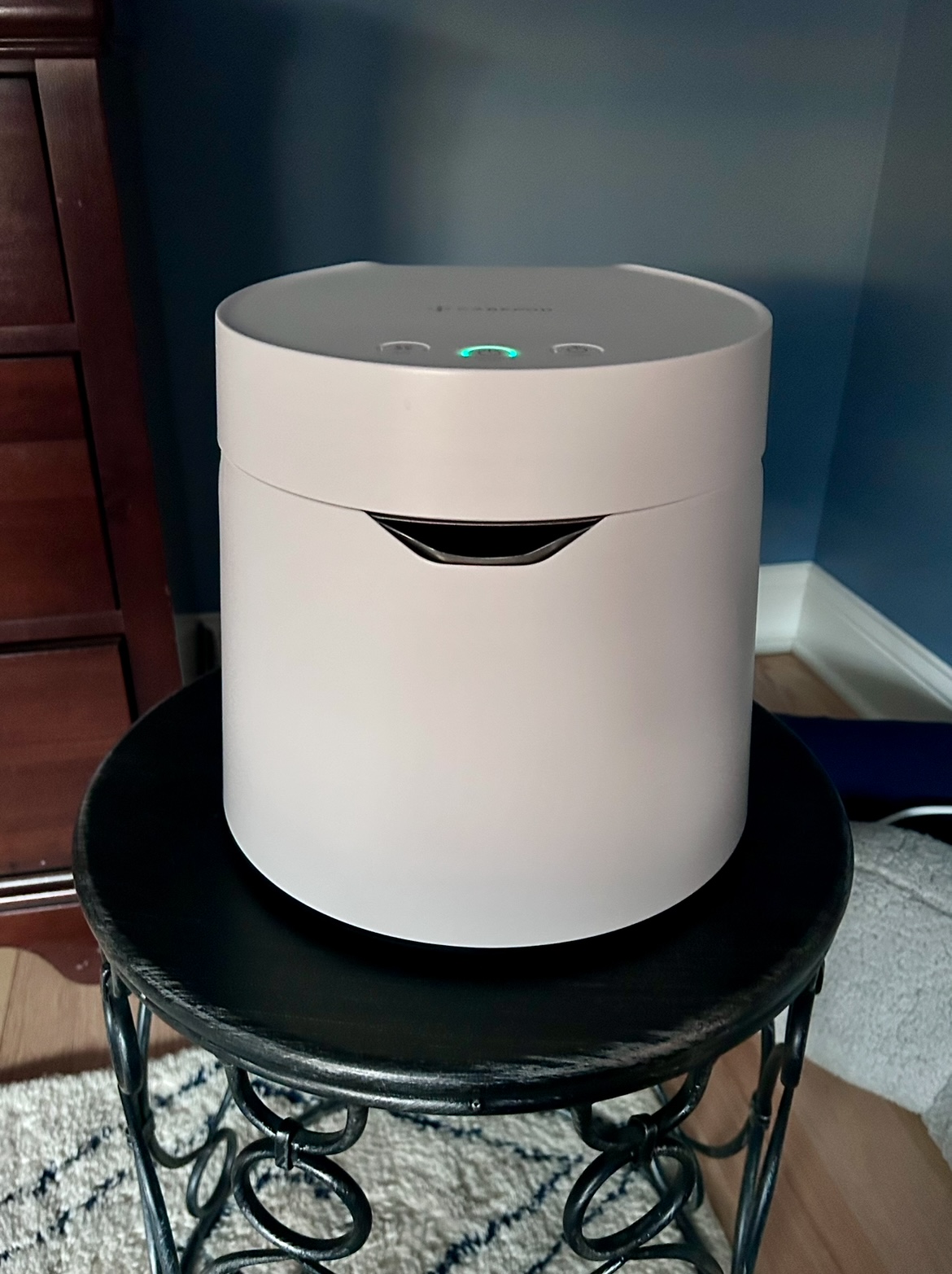 Meet Carepod: My Favorite, Clean Humidifier – Living Cleaner, Easier ...